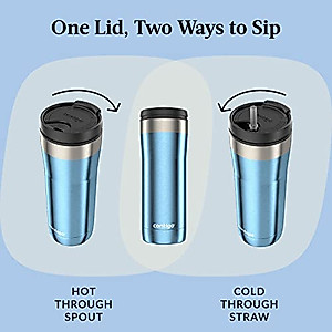 Contigo Dark Ice Beverage|Water Bottles, 1 Count (Pack of 1)