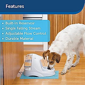 PetSafe Platinum Pet Fountain and Replacement Filters Bundle