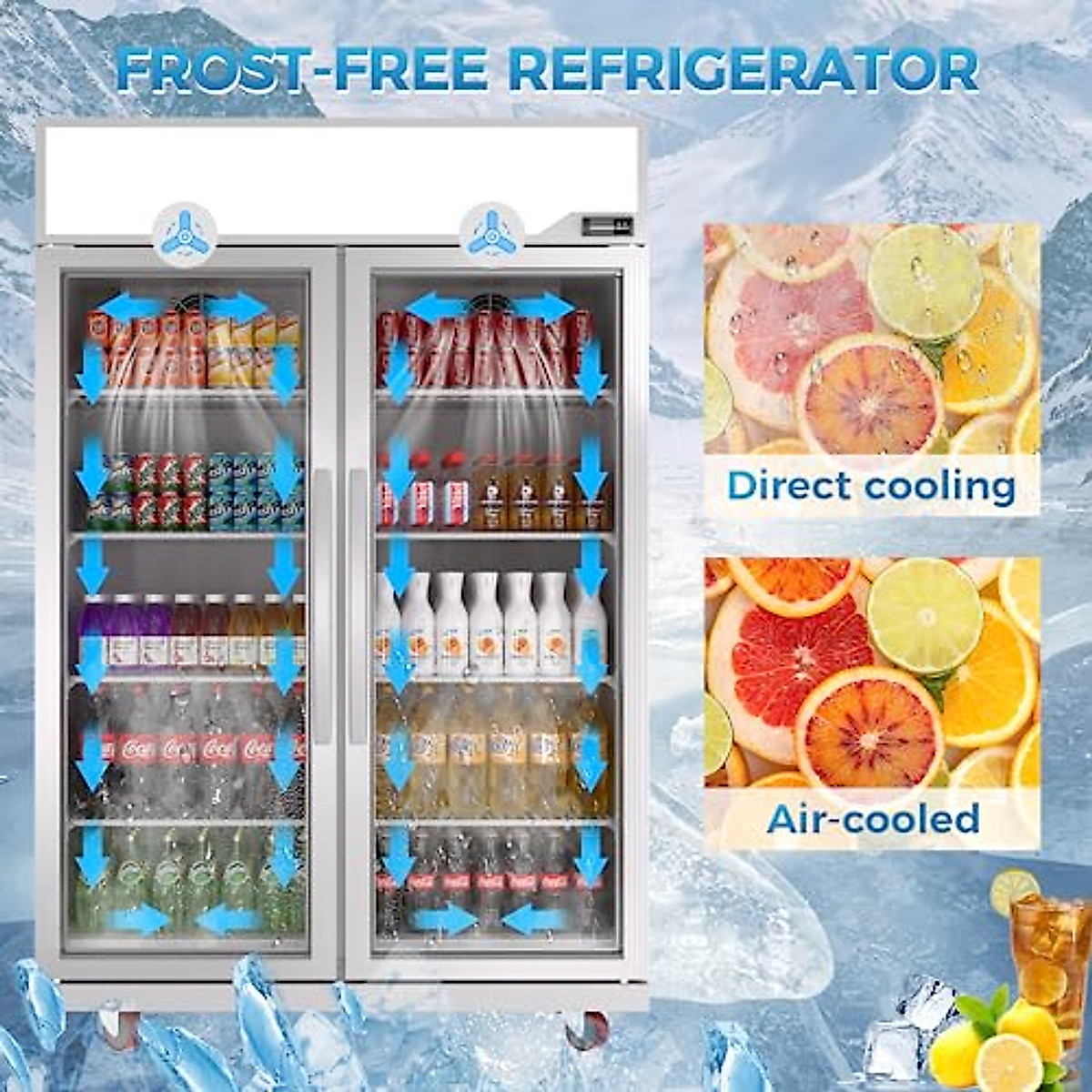 HIPOPLLER Commercial Glass 2 Door Display Refrigerator Merchandiser - Upright Beverage Cooler with LED Lighting - 38.5 Cu. Ft., Silver