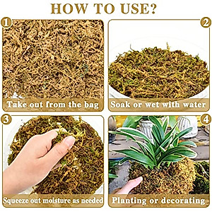 ZeeDix 2QT Dried Moss for Potted Plants Terrarium Decor Plant Natural Sphagnum Moss Potting Mix Soil for Carnivorous Plant, Orchid, Sarracenia, Succulent, Reptiles