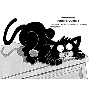 Bad Kitty Goes to the Vet (paperback black-and-white edition)