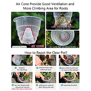 Meshpot 6 inch Orchid Pots with Holes,Set of 2,Double Layer Plastic Imitate Ceramic Orchid Planter Provide Good Air Circulation,Clear Orchid Pot Match Decorative Orchid Container