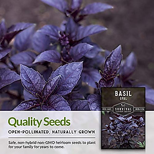 Survival Garden Seeds - Opal Basil Seed for Planting - Packet with Instructions to Plant and Grow Delicious & Unique Purple Basil Herb Plants in Your Home Vegetable Garden - Non-GMO Heirloom Variety