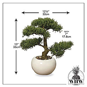 Realistic Faux Cedar Bonsai Tree, Houseplant, White Round Pot, Pebbles, Padded Bottom, Over 1 Ft Tall, (H33cm)