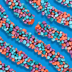 NERDS Rope, Candy, Variety Box, Rainbow & Very Berry, 0.92oz (16 ct)