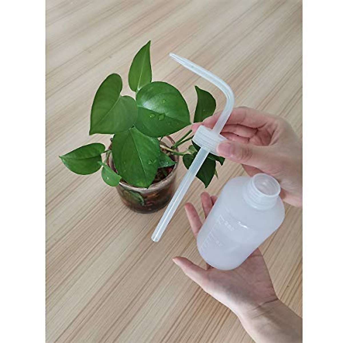 Valchoose Plastic Squeeze Bottle Leak Proof, 250ml | 8.5oz White Wash Bottle Chemical, LDPE, Safety, Medical with Narrow Mouth Scale Labels for Succulent Tattoo Label Watering (1 Bottle)