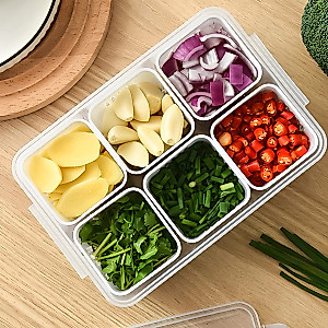 Food Storage Containers with Lids Airtight, Scallion Preservation Box Fridge Fresh-Keeping Container, 6 Grids Draining Crisper Portable Divided Fruit Storage Container Ginger Storage Basket for