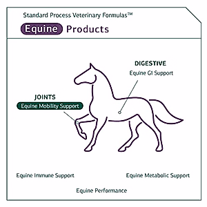 Standard Process Equine Mobility Support - Whole Food Horse Supplies for Antioxidant, Flexibility and Joint Support - Joint Supplement with Ginger Root, Glucosamine Sulfate, Chondroitin Sulfate - 40oz