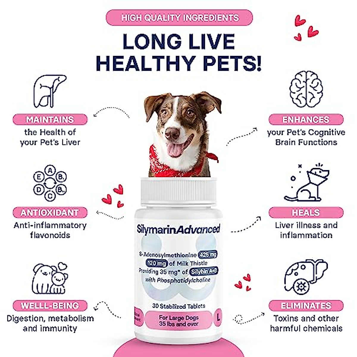 SilymarinAdvanced Liver Health Supplement for Large Dogs Combining S-Adenosylmethionine (Same) and Silybin, Liver Tablets, Cognitive Support, Pet Essentials & Wellbeing, 30 Tablets