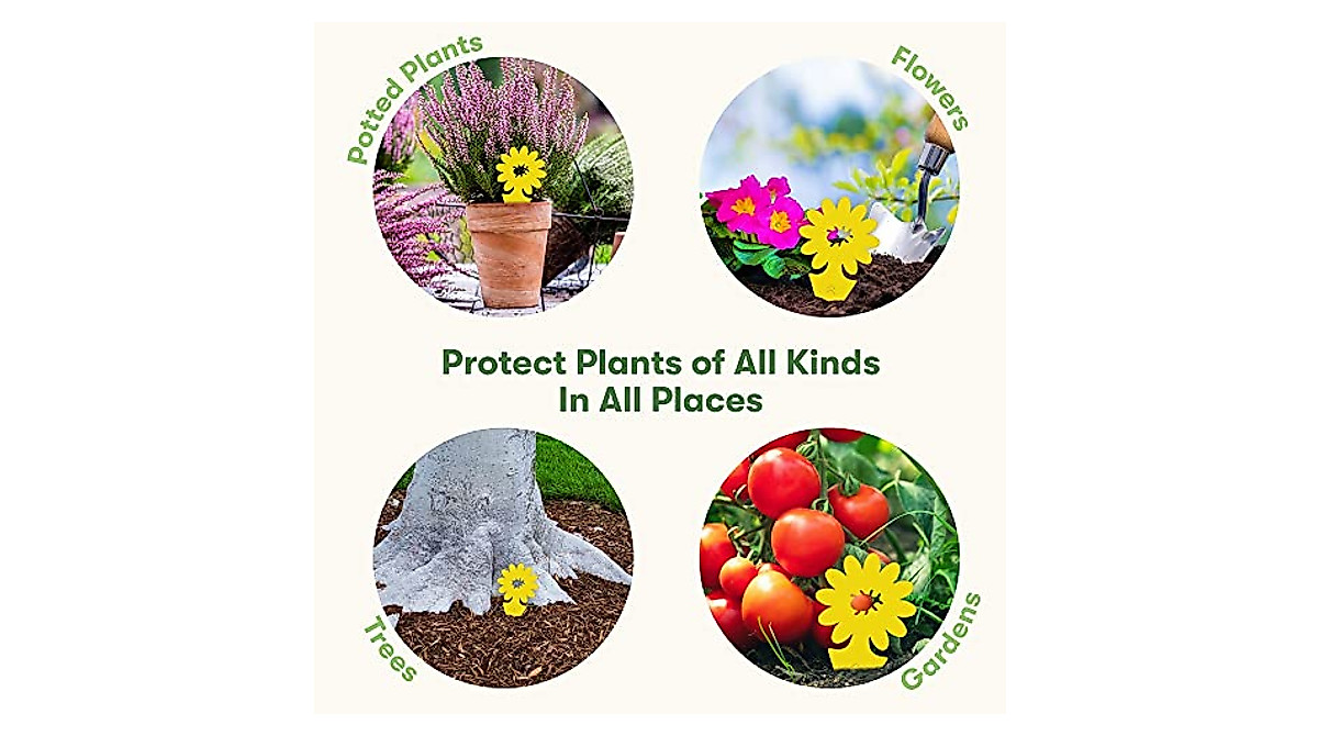 BugMD Sticky Bug Traps - Effective Indoor & Outdoor Pest Control