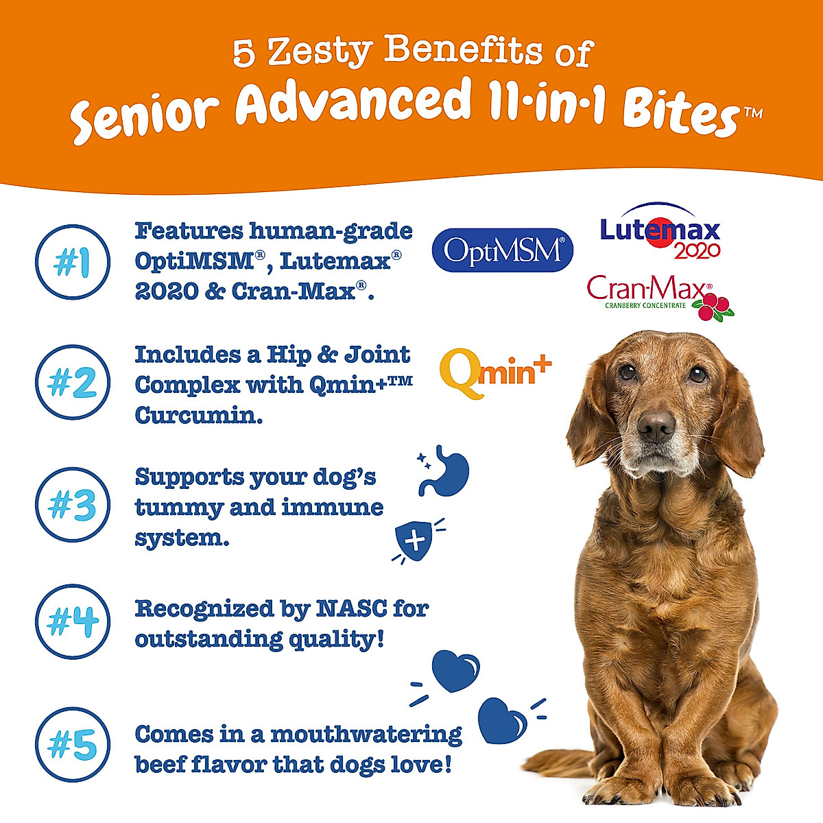 Allergy Immune Supplement for Dogs - with Omega 3 Wild Alaskan Salmon Fish Oil + Senior Advanced Multifunctional Supplement for Dogs – Glucosamine & Chondroitin