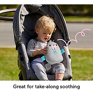 Fisher Price Infant Sound Machine Chill Vibes Walrus Soother Plush Baby Toy with Music Vibrations & Customizable Settings