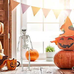 The Mannequin Halloween Skeleton Plastic Models Mannequin Maniquin Scary Halloween Decorations Anatomy Teaching Tools Toy Decorate Props The Sign Some Joints Movable Full Body Mannequin