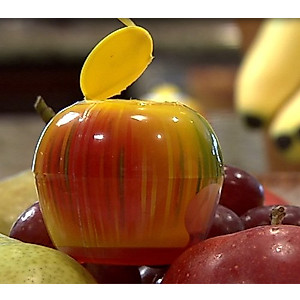 Terro Fruit Fly Trap Display