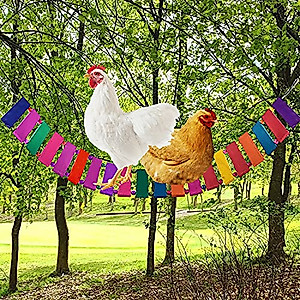 Chicken Swing Perches Toy Wooden Chicken Perch Ladder Toys Chicken Swing Ladder Toys Chicken Bridge Toys for coop Chicken coop Accessories Toys