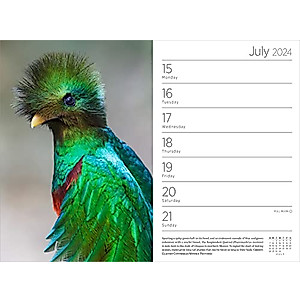 Audubon Engagement Calendar 2024: A Tribute to the Wilderness and Its Spectacular Landscapes