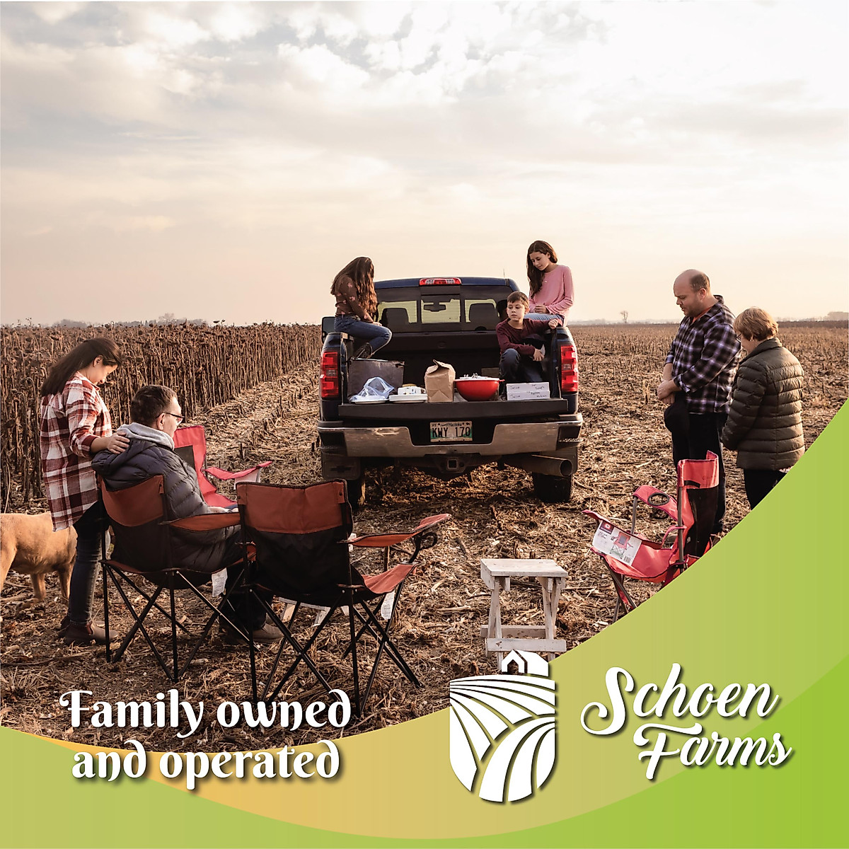 Gourmet Wild Bird Food Mix (6 LBS) Blend For Cardinals, Chickadees, Nuthatches, Woodpeckers and Songbirds