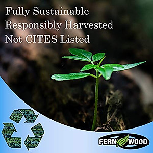 Fernwood Vivarium and Terrarium Background Panels- Made from New Zealand Tree Fern | Natural and Fibrous | for Reptile Tank Backgrounds and Vivarium Backgrounds| 12x6x.06