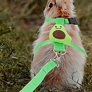 Ipetboom Bunny Harness and Leash: 1 Set Avocado Adjustable Small Pet Fruit Summer Outfit Costume for Rabbit Kitten Small Animal Hedgehog Ferret Piggies Squirrel Safety Walking Jogging