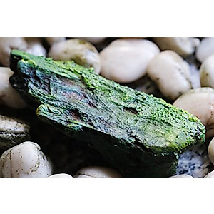 1shopforyou Random Selection Reptile Amphibian Habitat Decorative Garden Stakes 5X10 CM