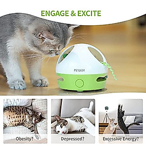 PETGEEK Interactive Cat Toy, Hide Mouse Cat Toy with Squeaky Mouse, Electronic Automatic Cat Toys with Catnip Filled Hidey Mouse, Cat Toys Interactive for Indoor Cats Exercise & Game