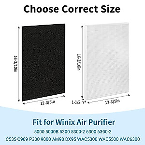115115 Filter A Replacement for Win-ix Plasma-Wave Air Purifier C535 5300 5300-2 6300 6300-2 5000 9000 C909 AM90, 2 Pc H13 True HEPA Filter and 8 Pc Carbon Pre-filter