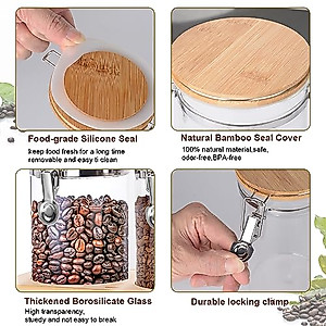 3 PCS Coffee Container for Ground Coffee with Scoop Wood Station, Glass Coffee Bean Canister Organizer with Airtight Lids, Coffee Storage Canister Jar for Sugar Tea