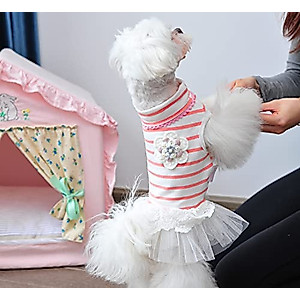 MSNFOASM Pet Dog Pink Stripe Dog Dress,Dog Tutu Lace Skirt Wedding Dress for Small Girl Dogs Cats（Pink Stripe M）