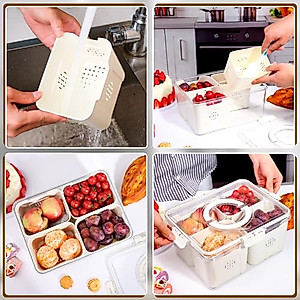 PYQTH Fruit Storage Containers for Fridge, Portable Divided Food Storage Containers with Lid and Handle, BPA-Free Saver Refrigerator Food Organizer Bins with 1 Brush for Veggies Fruit, 4 Compartments