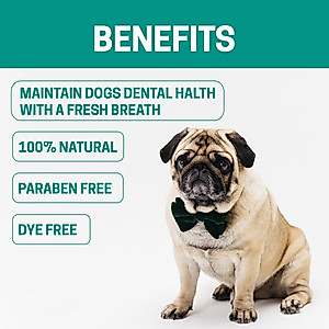 GREEN COAT ALL-NATURAL DOG BREATH FRESHENER SPRAY, Pet Water Additive, Teeth & Gum Spray for Dogs, Dog Dental Care for Bad Pet Breath-Oral Mouth Care, No Brushing, Easy to Apply | Made in USA | 8fl oz 237ml.