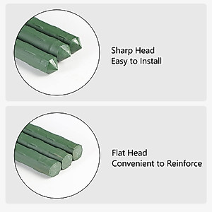 Garmeinea Garden Stakes 48 Inches Plastic Coated Steel Plant Stakes for Growing Climbing Plants, Pack of 25