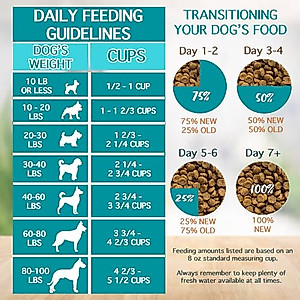 Chicken Soup For The Soul Classic Dry Adult Dog Food, Beef & Brown Rice Recipe, 4.5 Pound Bag | Soy Free, Corn Free, Wheat Free, Dry Dog Food Made with Real Ingredients