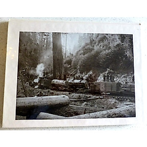 The Mendocino Coast: A Pictorial History