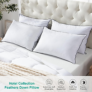 APSMILE Medium Firm Feather Down Pillows Standard Size Set of 2, Luxury Feather Pillow for Sleeping, Organic Cotton Cover Hotel Collection Bed Pillow (White, 20"x26")