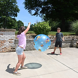 Hedstrom 20 Inch Super Bouncing Ball with Pump, Paw Patrol