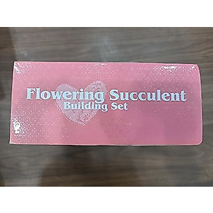 MOONTOY Succulents Artificial Plants Set Building Blocks Toys, 6 Packs Birthday Gifts for Adults Kids, Succulent Botanical Collection Flower Bouquet Kit Home Office Decor Bonsai Creative Gift (521PCS)