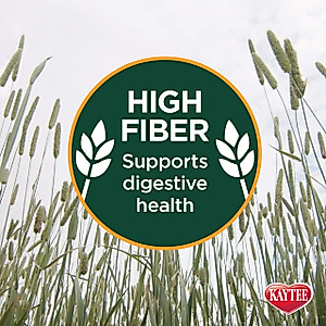 Kaytee All Natural Timothy Hay Plus Mint for Guinea Pigs, Rabbits & Other Small Animals, 24 Ounce