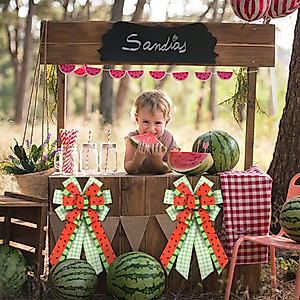 Hying 2 Rolls Summer Watermelon Ribbons Wired for Wreath Bows Wrapping Gifts, Fruit Watermelon Green Plaid Ribbon for Gift Wrapping Birthday Party Decoration Crafts 2.5" X 10 Yards Wired Edge Ribbon