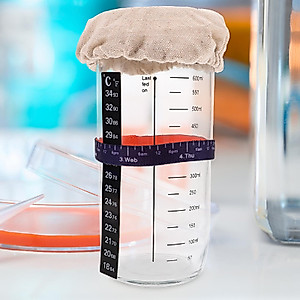 1 Set Tank with Scale Glass Jar Sourdough Bottle with Scale Sourdough Starter Jar Kit Sealing Canister Glass Container Sealed Container Glass Storage Kettle