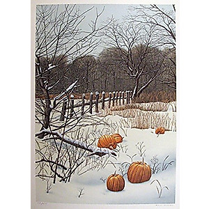 In the Pumpkin Field