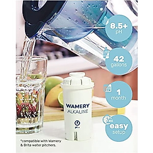 WAMERY Certified Alkaline Water Filter Replacement Fits Brita and Wamery Pitcher Cartridges 3-Pack, Increases Water pH.