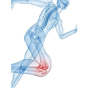 Zycal Bioceuticals Ostinol Standard, 450 Mg, 30 Count