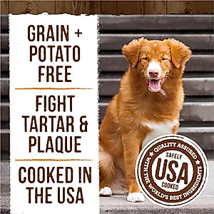 Merrick Fresh Kisses Natural Dental Chews, Treats Infused with Pumpkin and Cinnamon for Medium Dogs 25-50 Lbs - 8.1 oz. Pouch