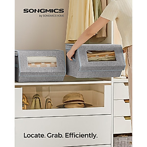 SONGMICS Stackable Storage Bins Set of 2, Storage Boxes with Lids and Front Windows, Non-Woven Fabric Closet Organizers with Magnetic Closures, Side Handles, Dove Gray URLB002W01