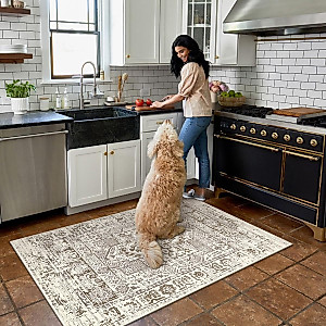 Lahome Boho Washable 3x5 Rug Entryway Rug, Bohemian Soft Small Rugs for Bathroom Bedroom, Beige Kitchen Rugs Non-Slip Non-Shedding, Low-Pile Indoor Floor Carpet for Bedside Dorm