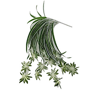 Artificial Chlorophytum Silk Flowers, Flowers Spider Plant Fake Greenery Faux Plant Hanging Basket Ivy Green Leaves Wall Hanging Plants for Home Garden Office Wedding Decoration (Green , One Size )