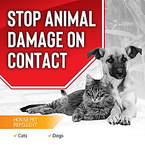 Messina Wildlife WW-G-001 Dog & Cat Stopper Pest Repellant Shaker Jug, 2.5 lb, red