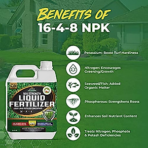 PetraTools Liquid Dethatcher (32oz) and Liquid 16-4-8 Lawn Fertilizer (32 oz)