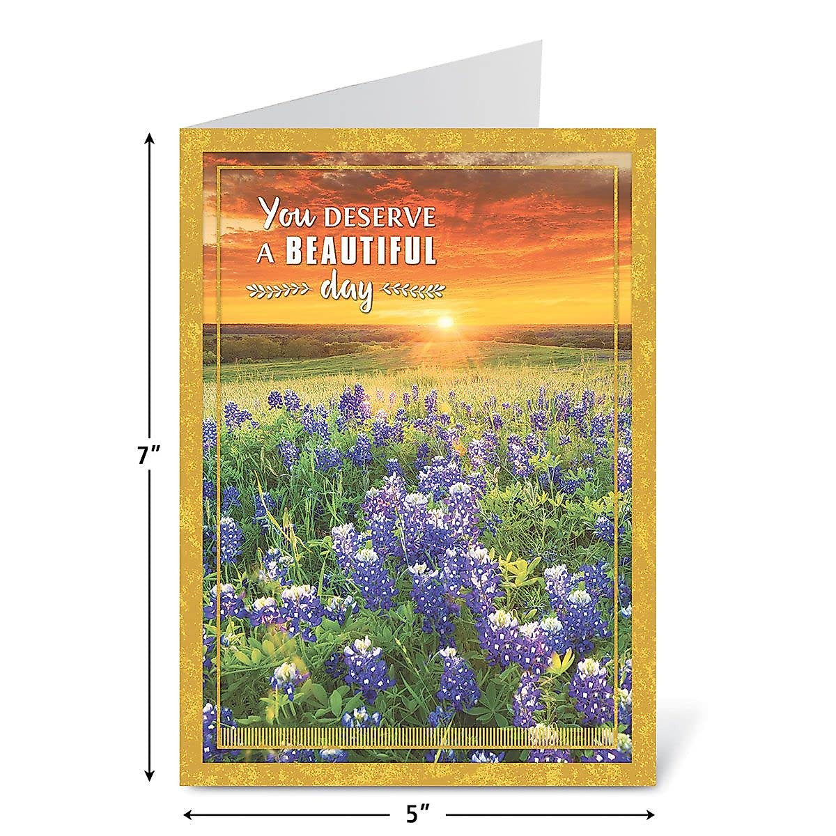 Sunrise Celebration Deluxe Birthday Greeting Cards - Set of 8 (4 Designs), Large 5" x 7", Happy Birthday Cards with Sentiments Inside, includes White Envelope