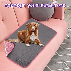 YUEPET Waterproof Dog Blankets, 2 Pack Washable Dog Blankets for Bed Couch Sofa Protector Fleece Flannel Puppy Blanket Soft Plush Reversible Throw Blanket for Small Dogs Puppy Cat 23"×16"(Purple+Pink)